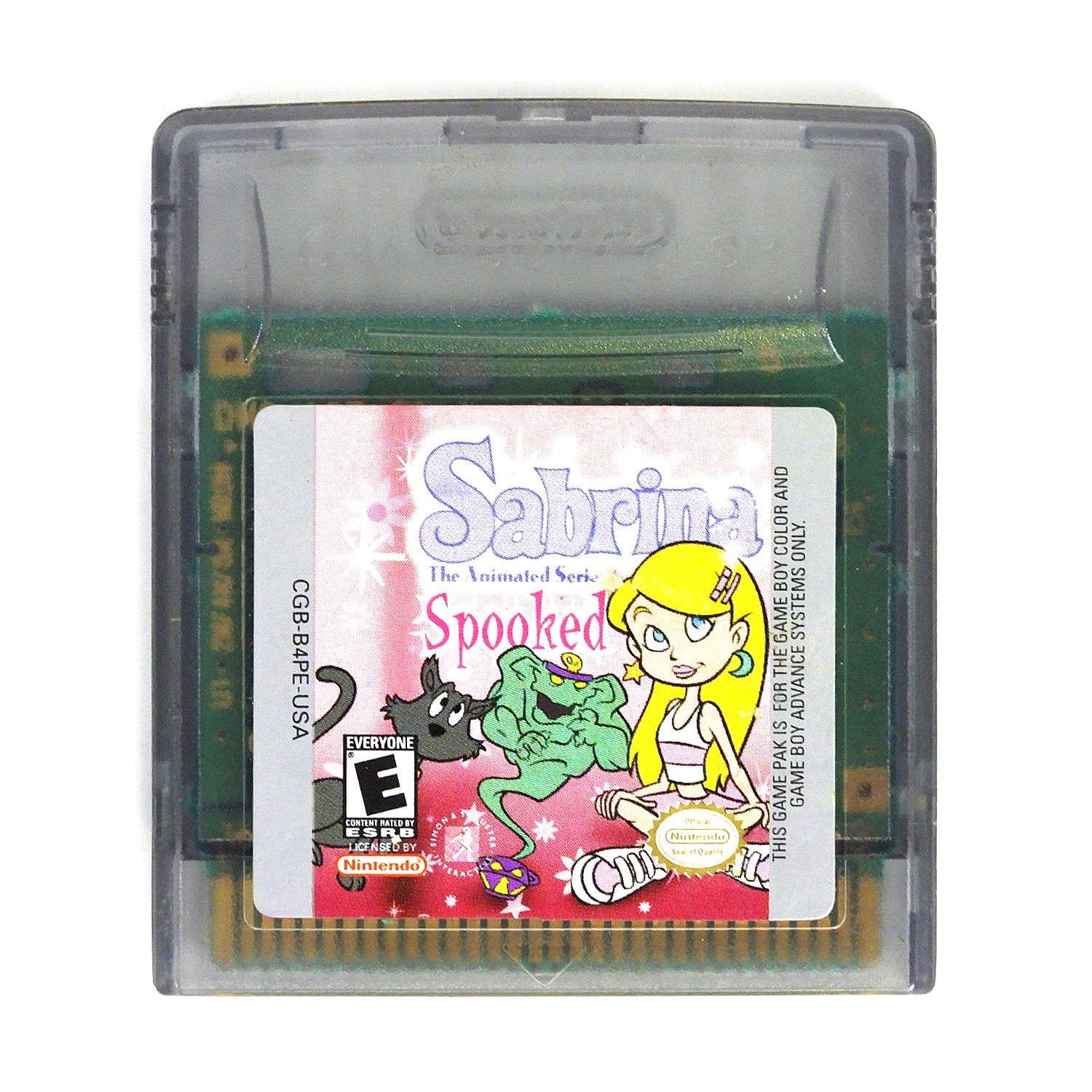 Sabrina The Animated Series Spooked (Nintendo Game Boy Color / GBC ...