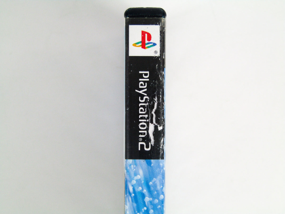 Surf's Up (Playstation 2 / PS2) – RetroMTL