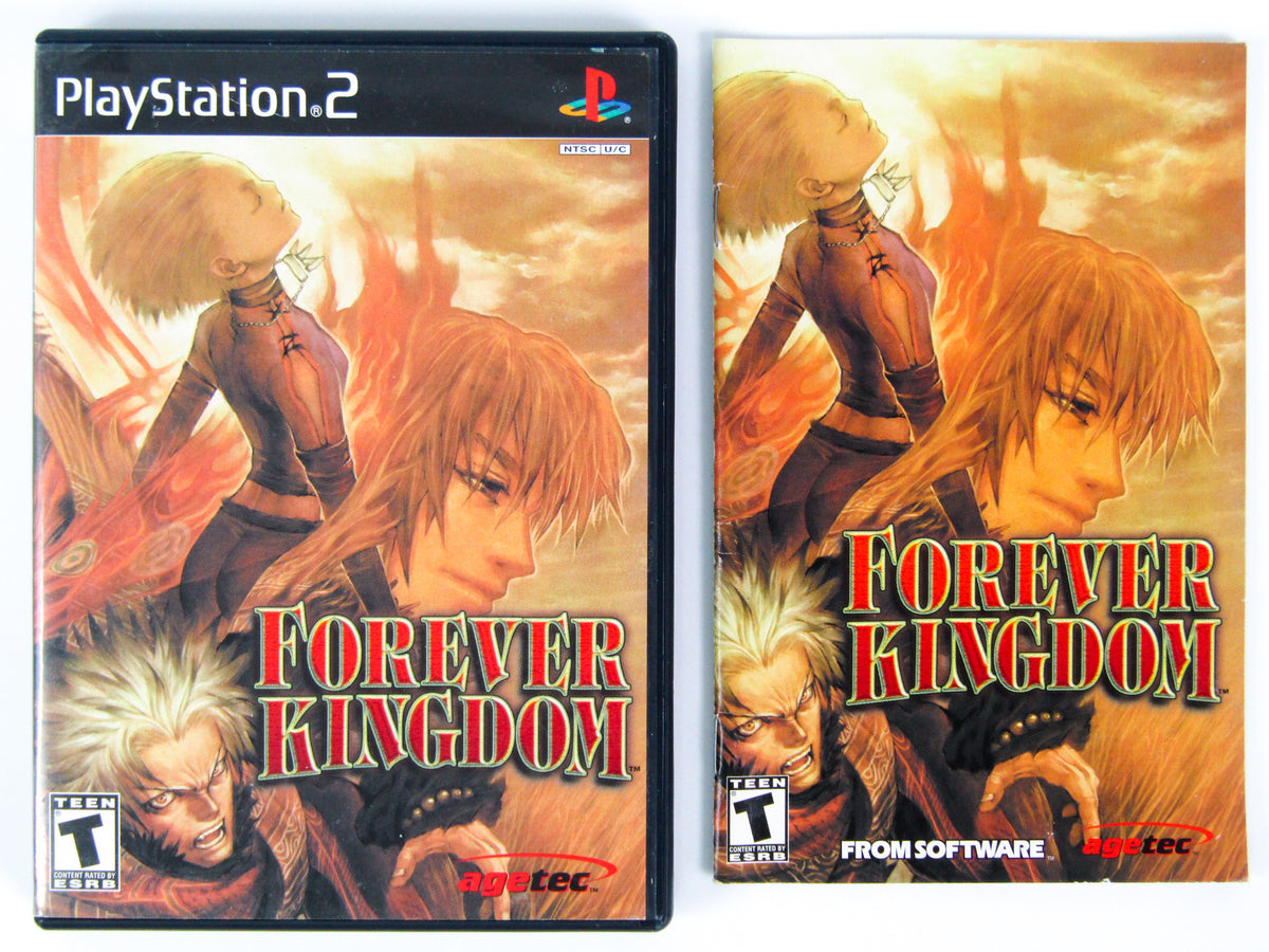 Forever Kingdom (PlayStation 2 / PS2) – Retro MTL